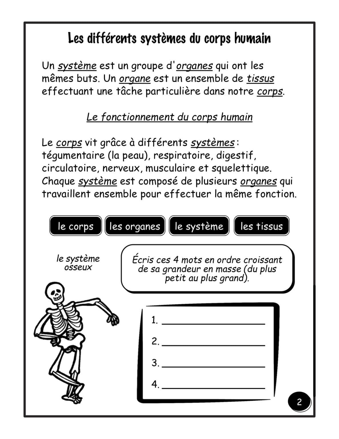 5e année - Le corps humain - "HYBRIDE" — Fiches reproductibles pour ...