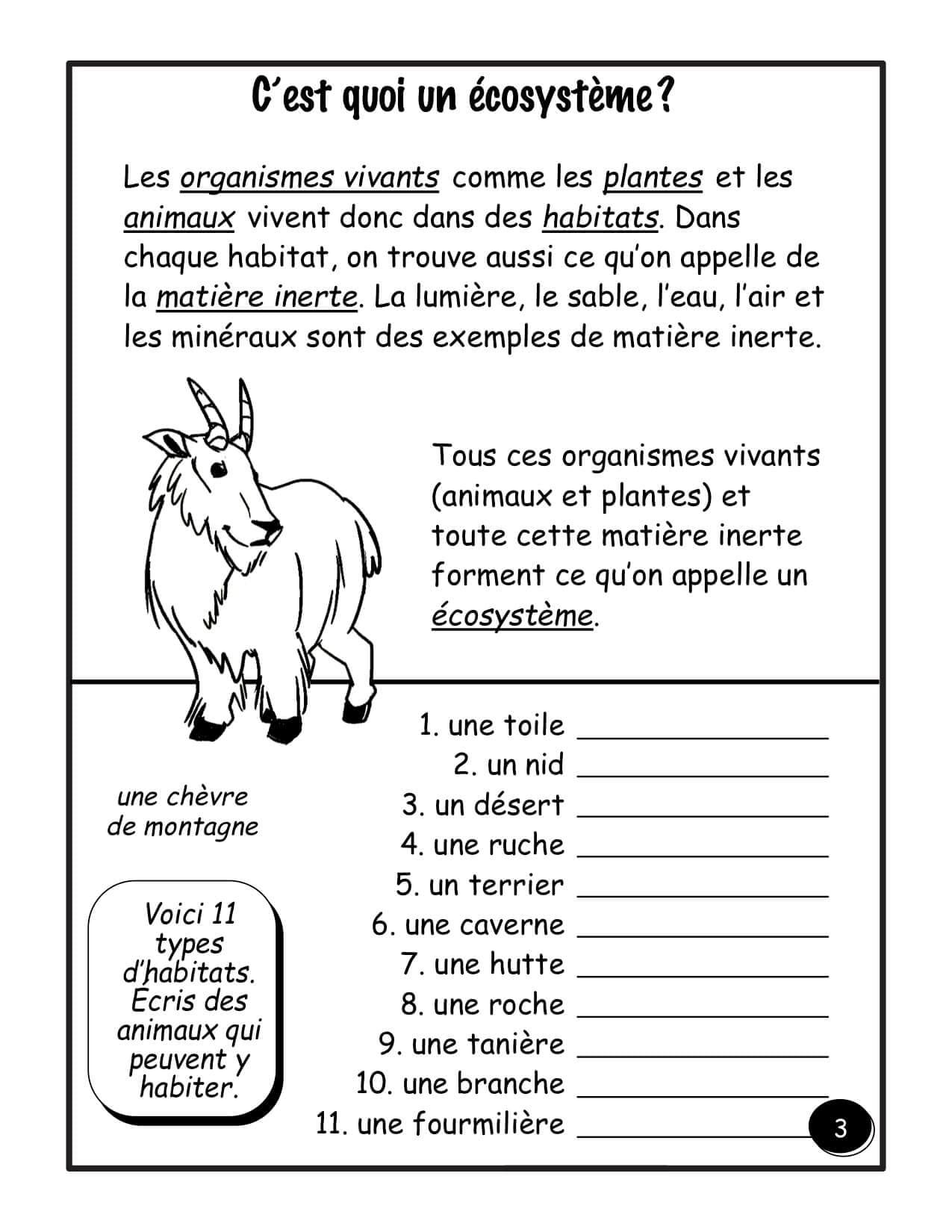 4e année - Les habitats - "HYBRIDE" — Fiches reproductibles pour ...