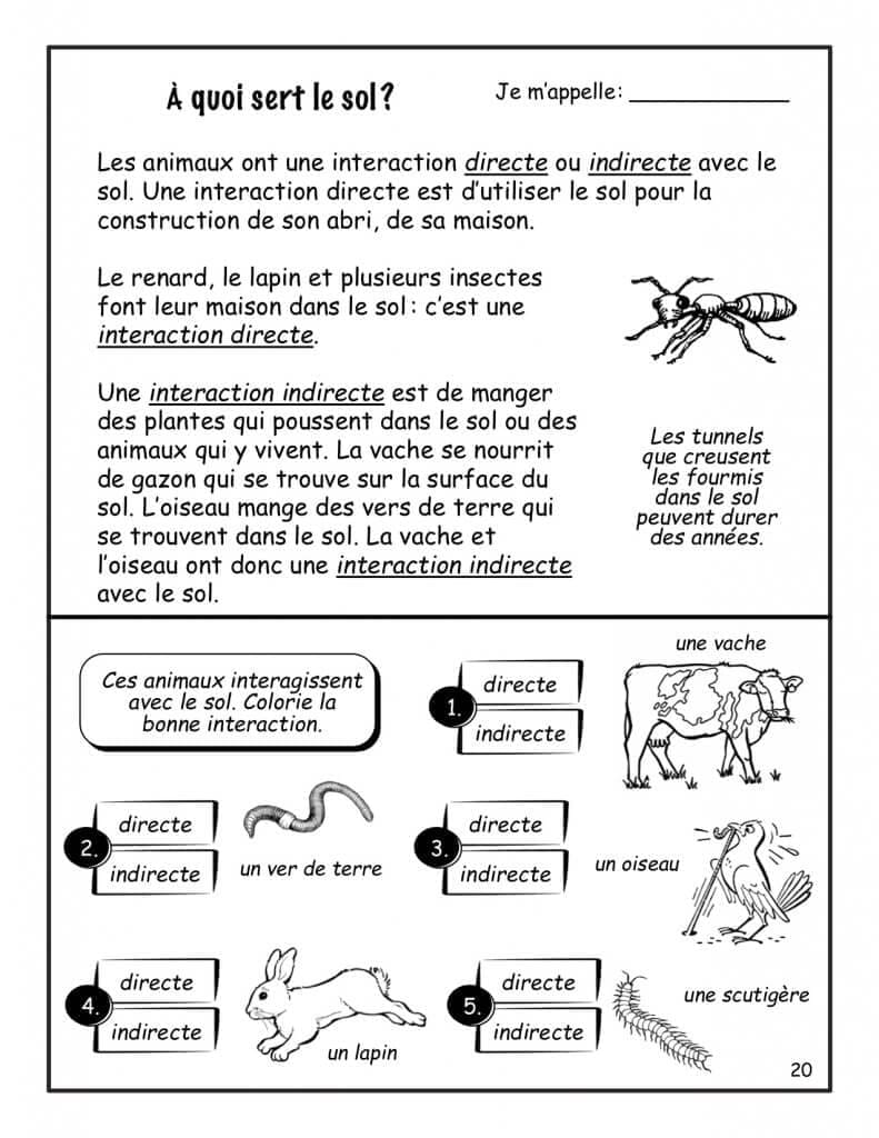 Le sol (3e) - Nouvelle série ! — Fiches reproductibles pour enseignant ...