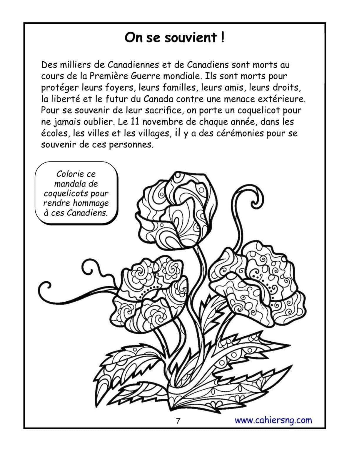 Le jour du Souvenir - (4e/5e/6e années) — Fiches reproductibles pour ...