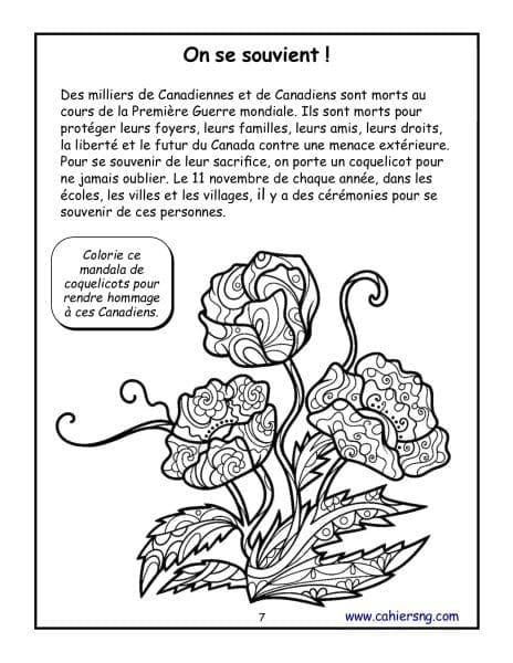 Le jour du Souvenir - (4e/5e/6e années) — Fiches reproductibles pour ...