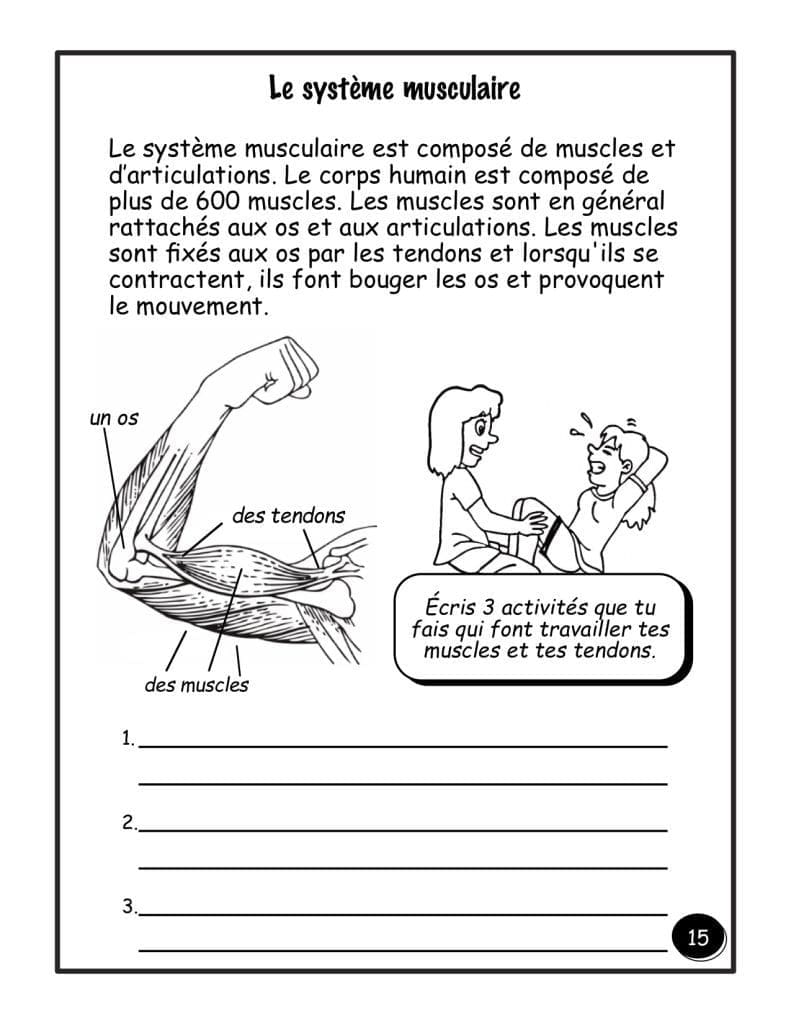 Le corps - (5e/6e) - Les muscles — Fiches reproductibles pour ...